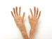 Hand Pack - for making armature hands – The Makerss