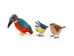 Wire bird legs - various sizes and colours – The Makerss